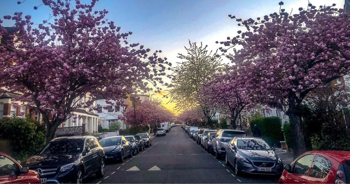 Parking For Rent In England - Free To Search & Contact!